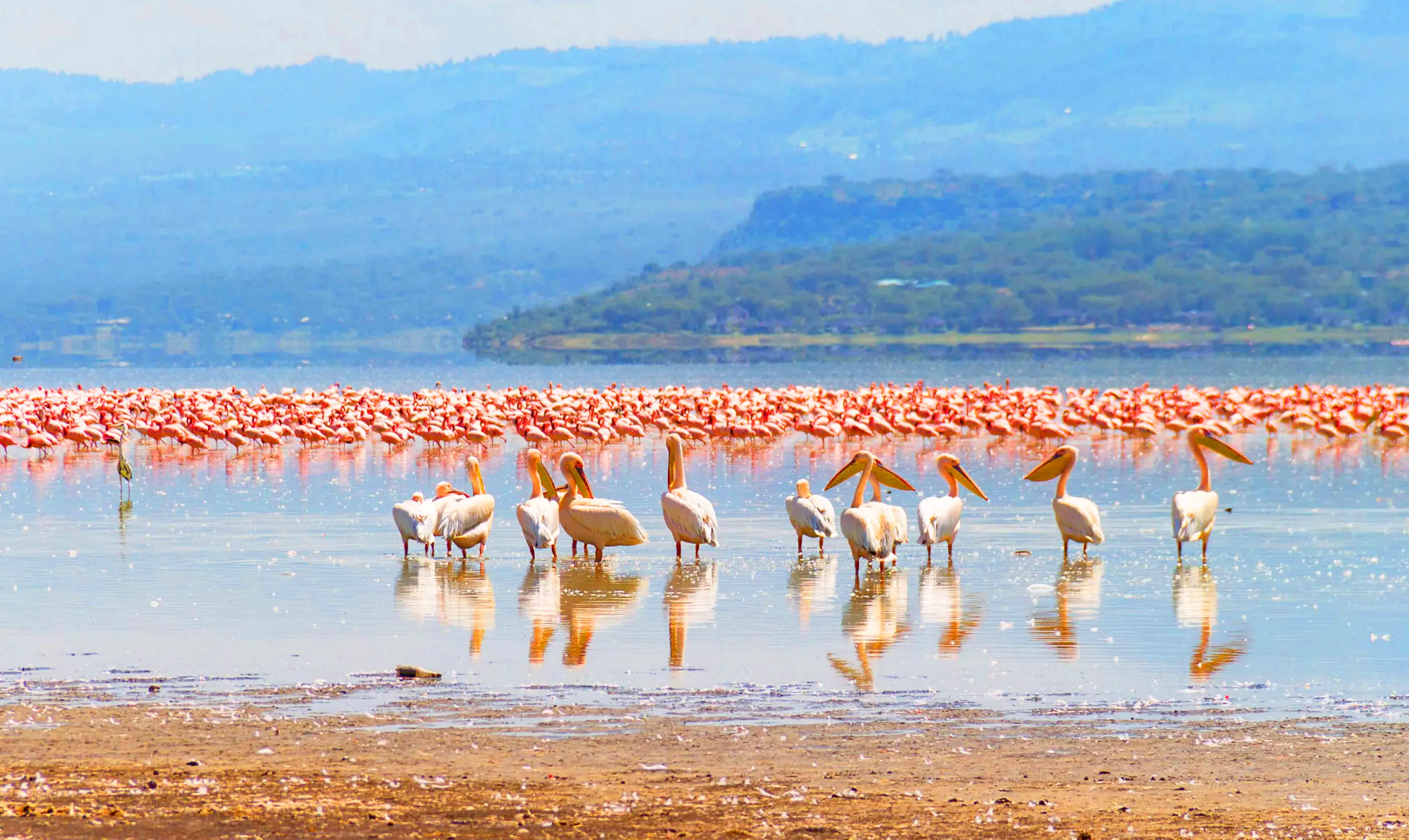 Lake Elementaita Lodge Gallery