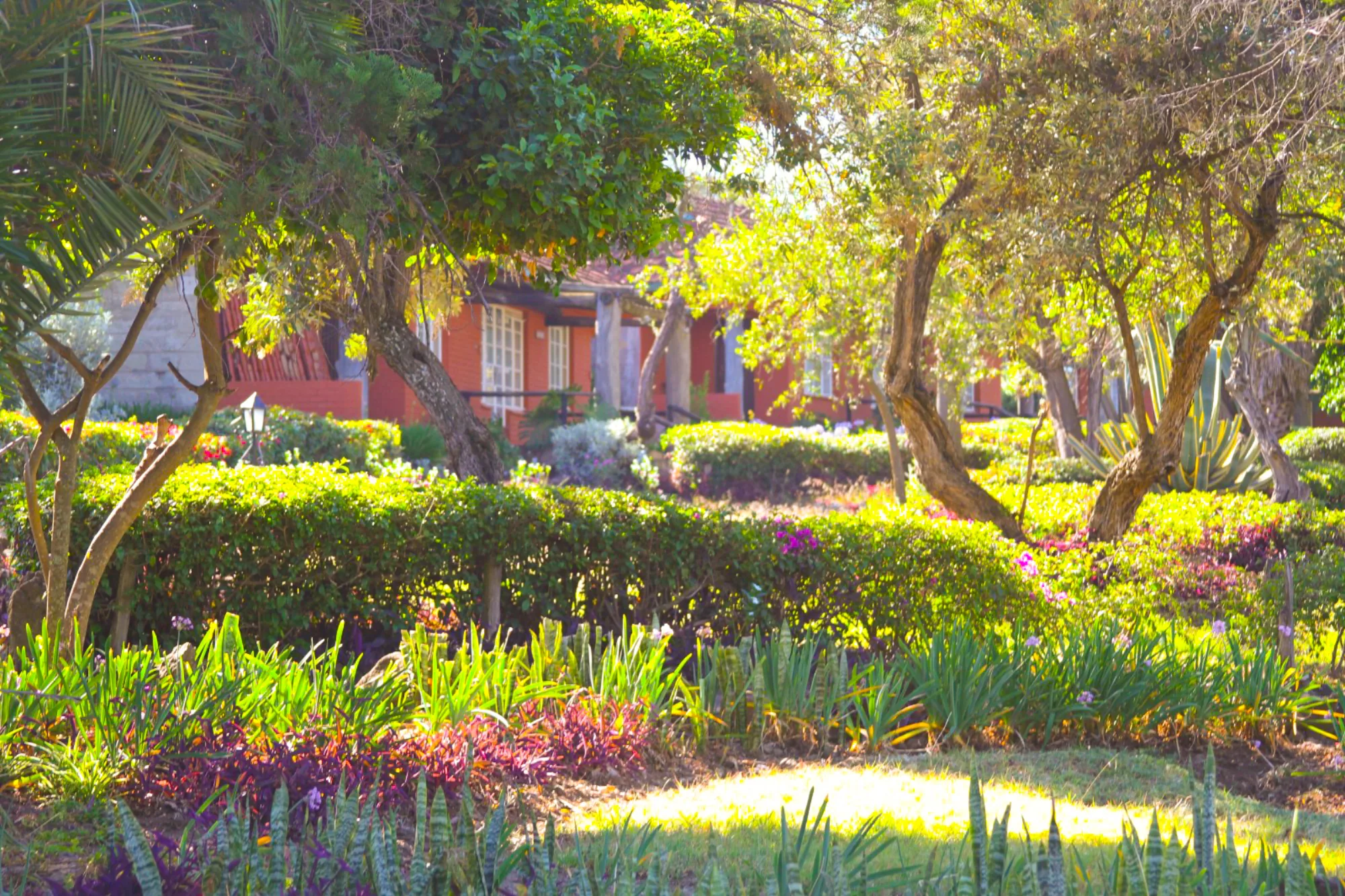 Gallery - Lake Elementaita Lodge
